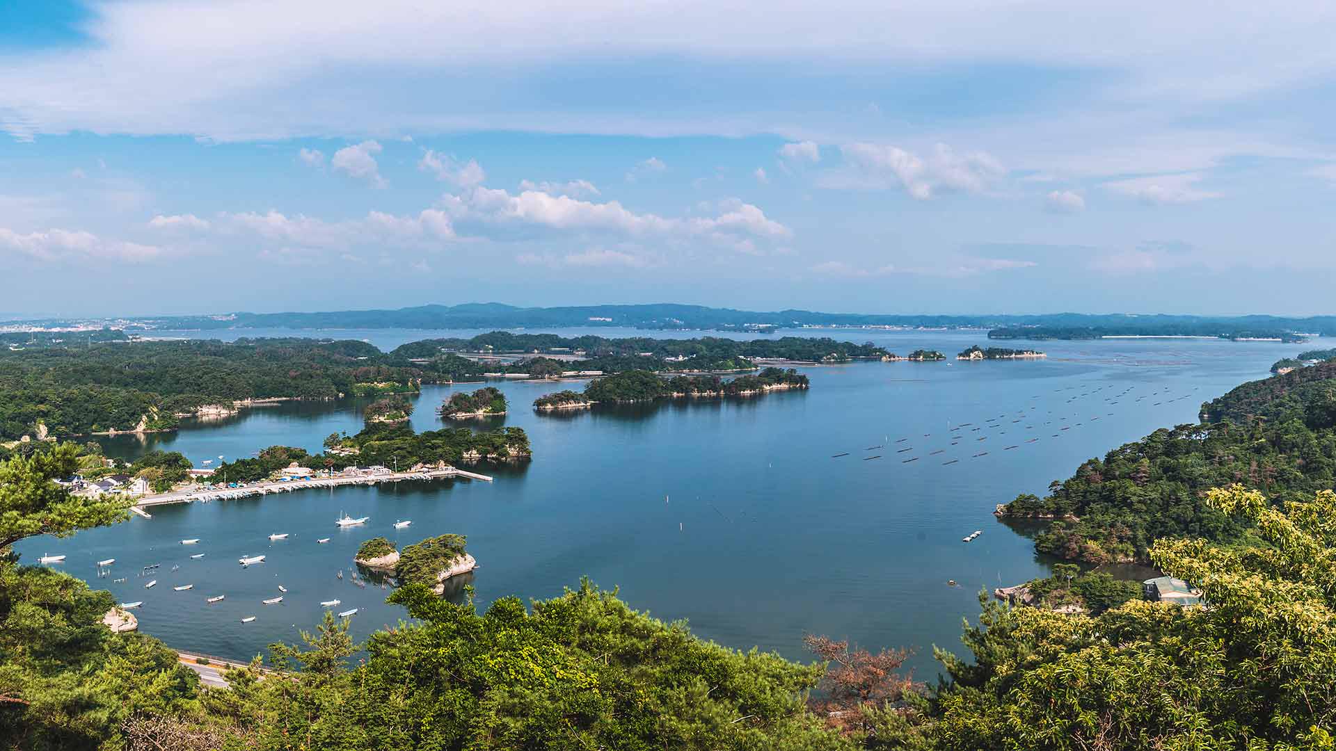 Matsushima Bay Food Experiences & Restaurants | byFood